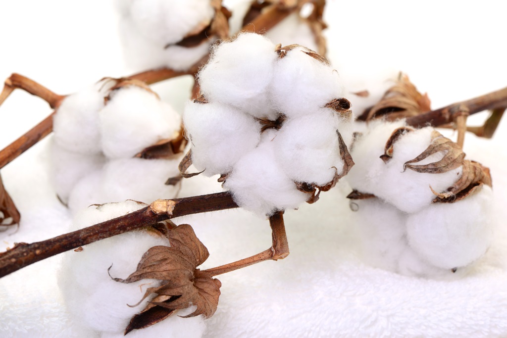 Tajemství krásných snů v bavlněném povlečení - WomanOnly