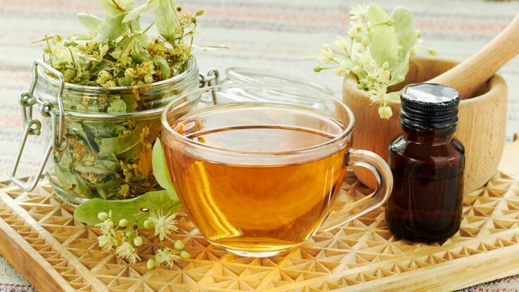 Lípa a její účinky. Proč pít čaj z lipových květů? | WomanOnly