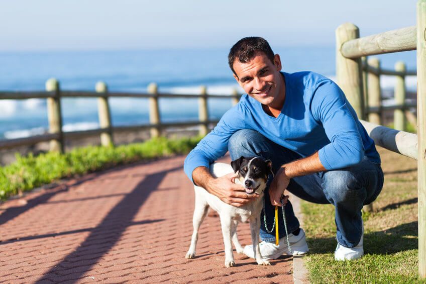 Jak dosáhnout krásné srsti u psa? Důležitá je vnitřní výživa - WomanOnly