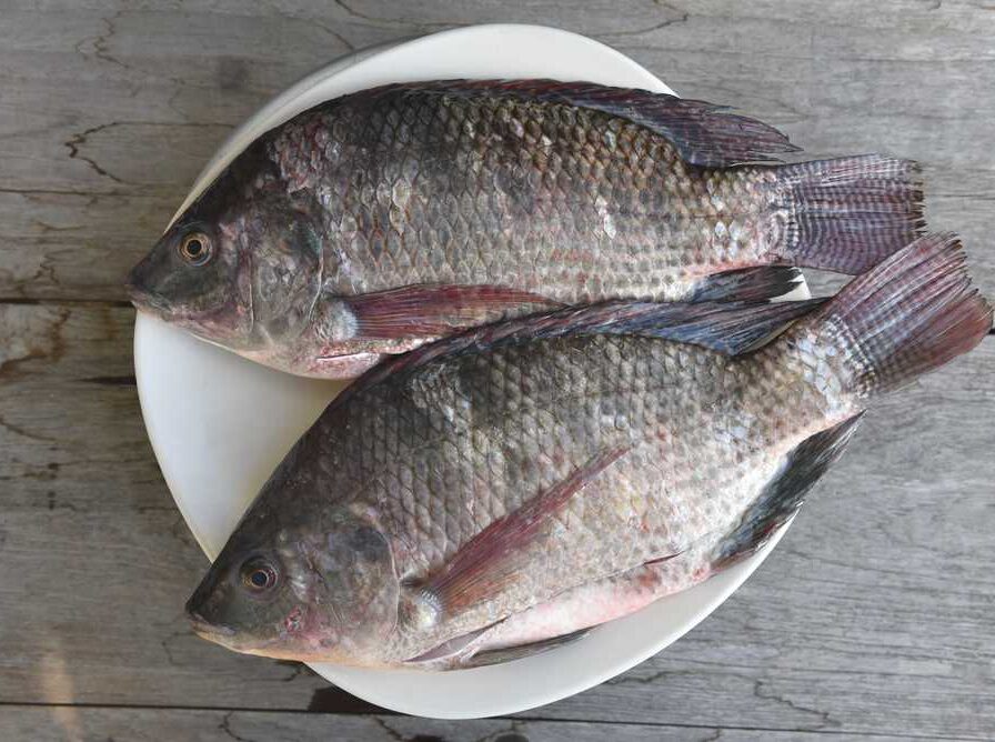 Propustka k lékaři: Jak funguje, kdy na ni máte nárok a na jakou dobu ...