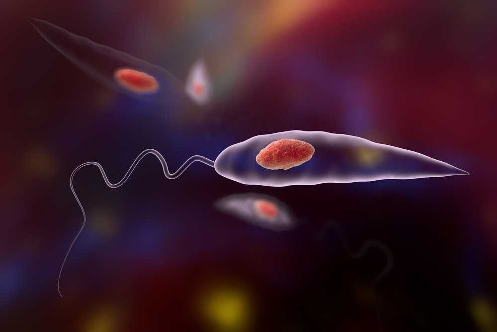 Jak očistit tělo od parazitů a za čím stojí parazitické nemoci - WomanOnly