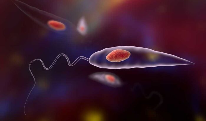 Jak očistit tělo od parazitů a za čím stojí parazitické nemoci - WomanOnly